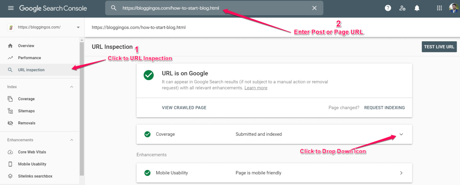 What is Canonical Tag and How to Add Tag In WordPress website?